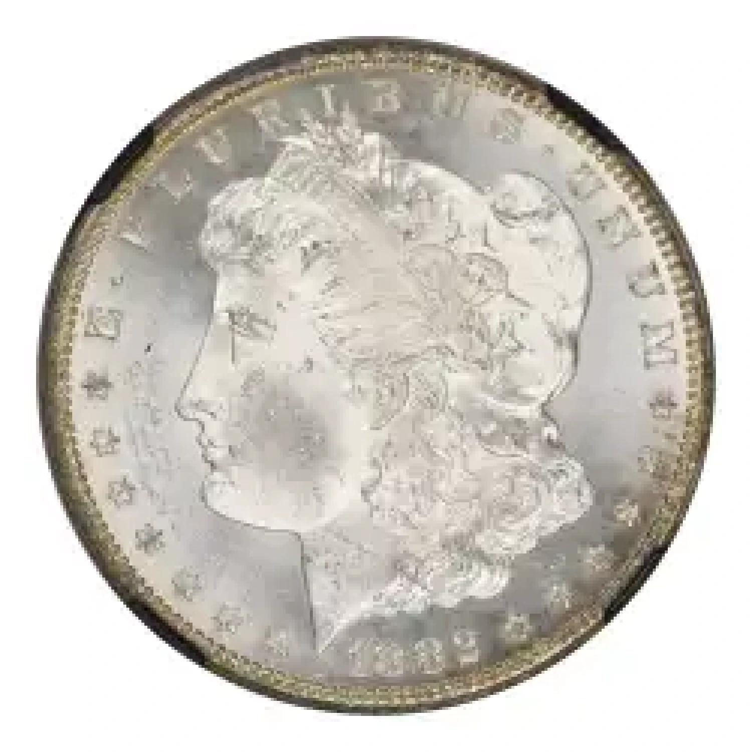 1882-CC Morgan Silver Dollar NGC MS-64 - Olevian Numismatic Rarities