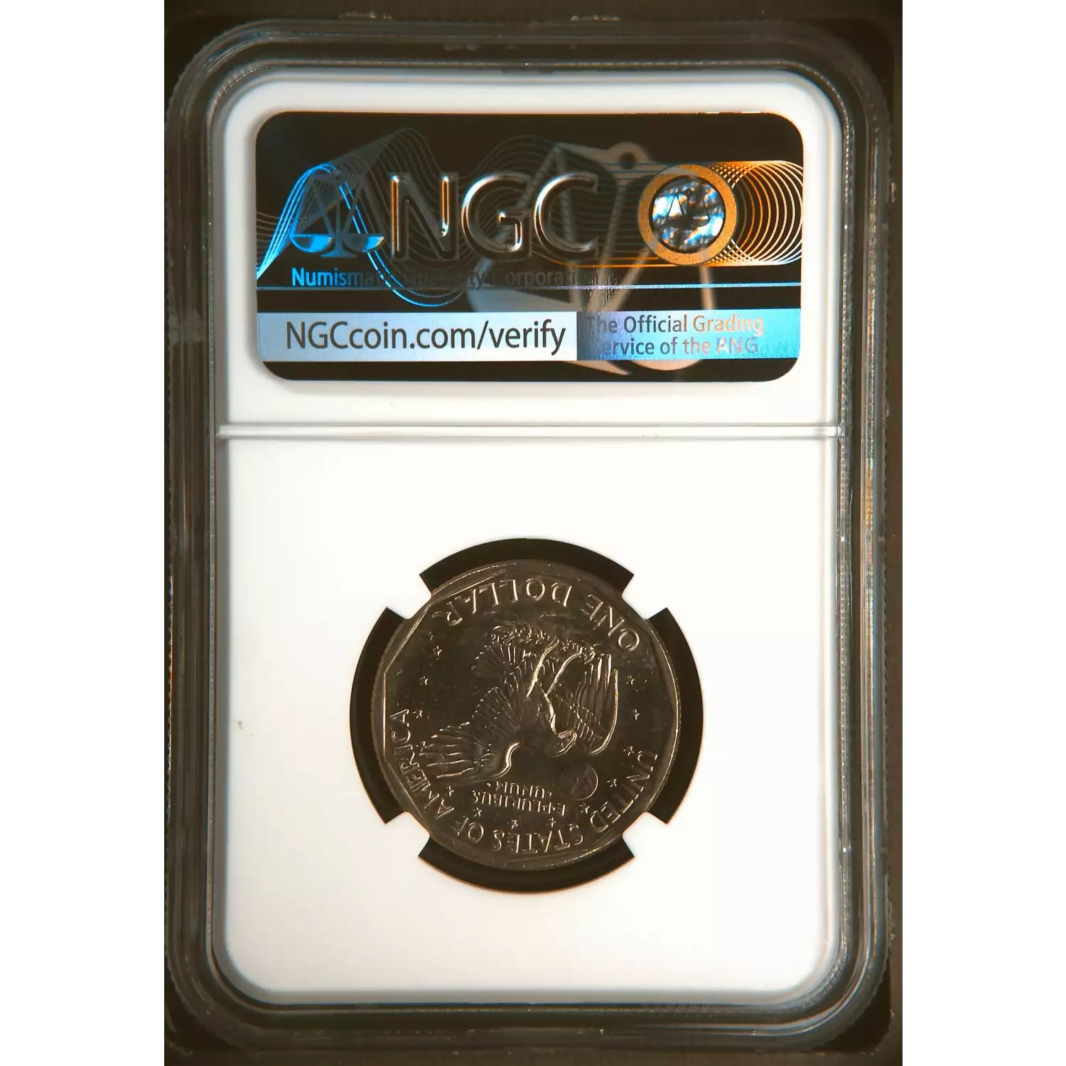 1980-D Dollar Susan B. Anthony NGC MS-66 US Mint Label - Olevian ...