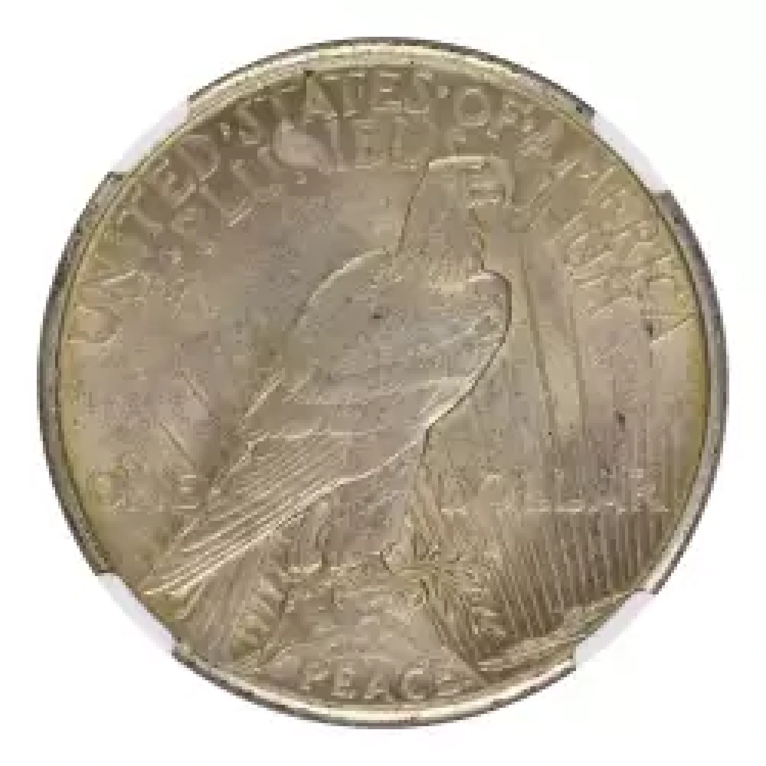 1921 Peace Silver Dollar NGC AU-58 High Relief - Olevian Numismatic ...